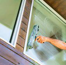 The Ultimate Guide to Professional Window Cleaning Equipment