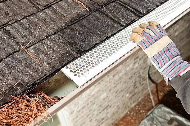The Essential Guide to Year-Round Gutter Maintenance