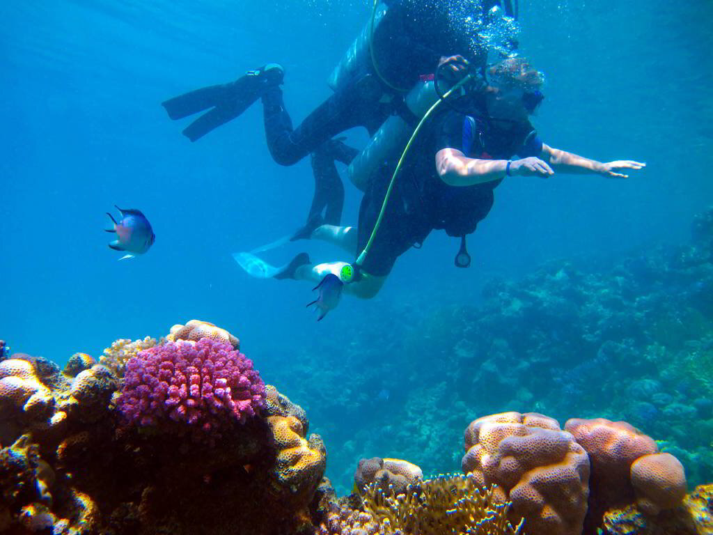 Outdoor Recreational Activities You Must Try With Your Loved Ones