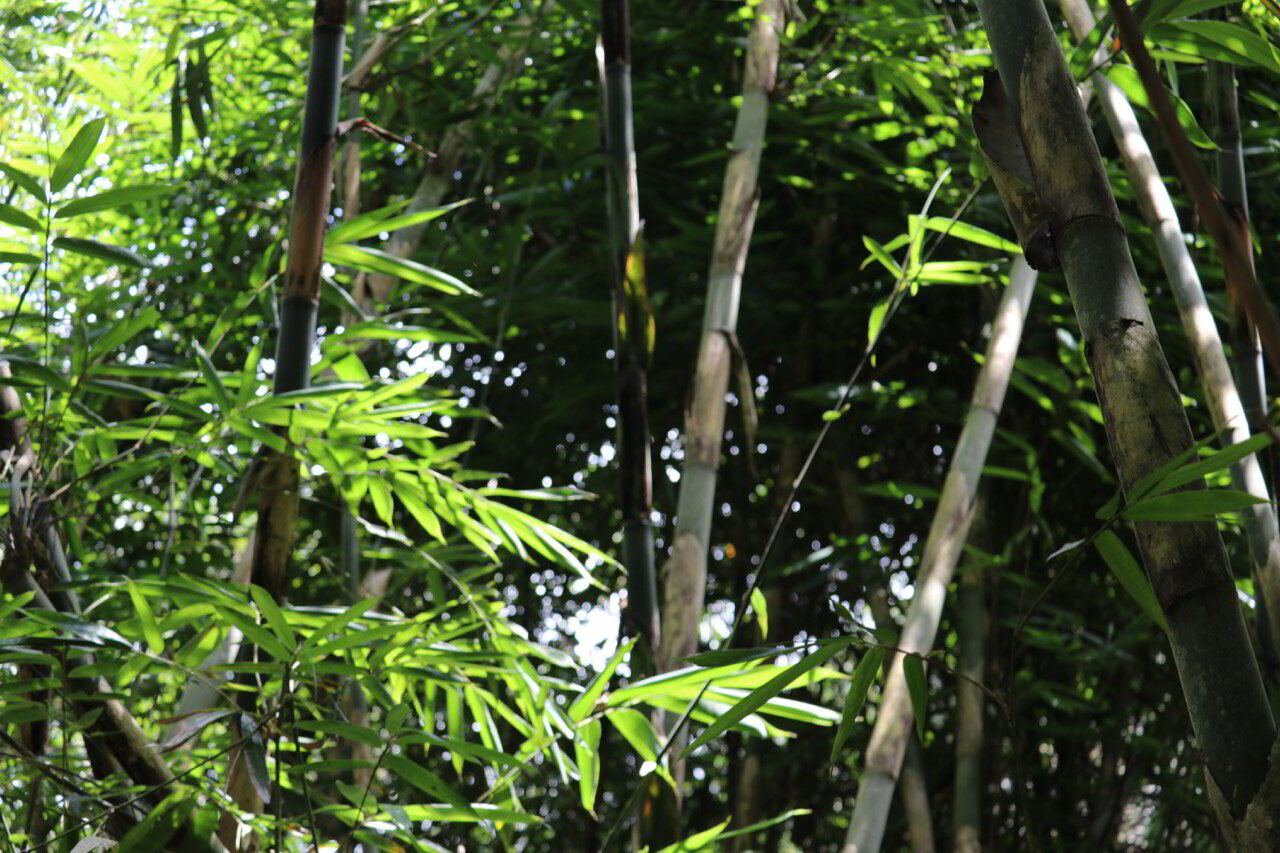 Home | BambooBuilds - Bouwen met én voor de Toekomst