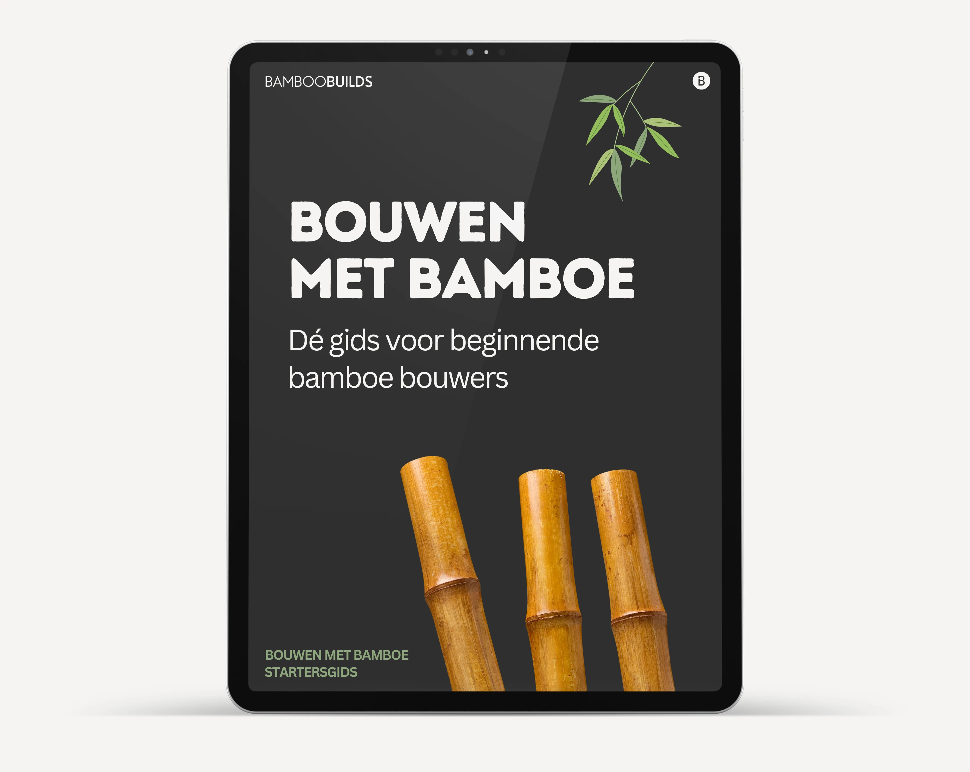 Ontdek de Bamboe Eigenschappen - Bamboe | BambooBuilds