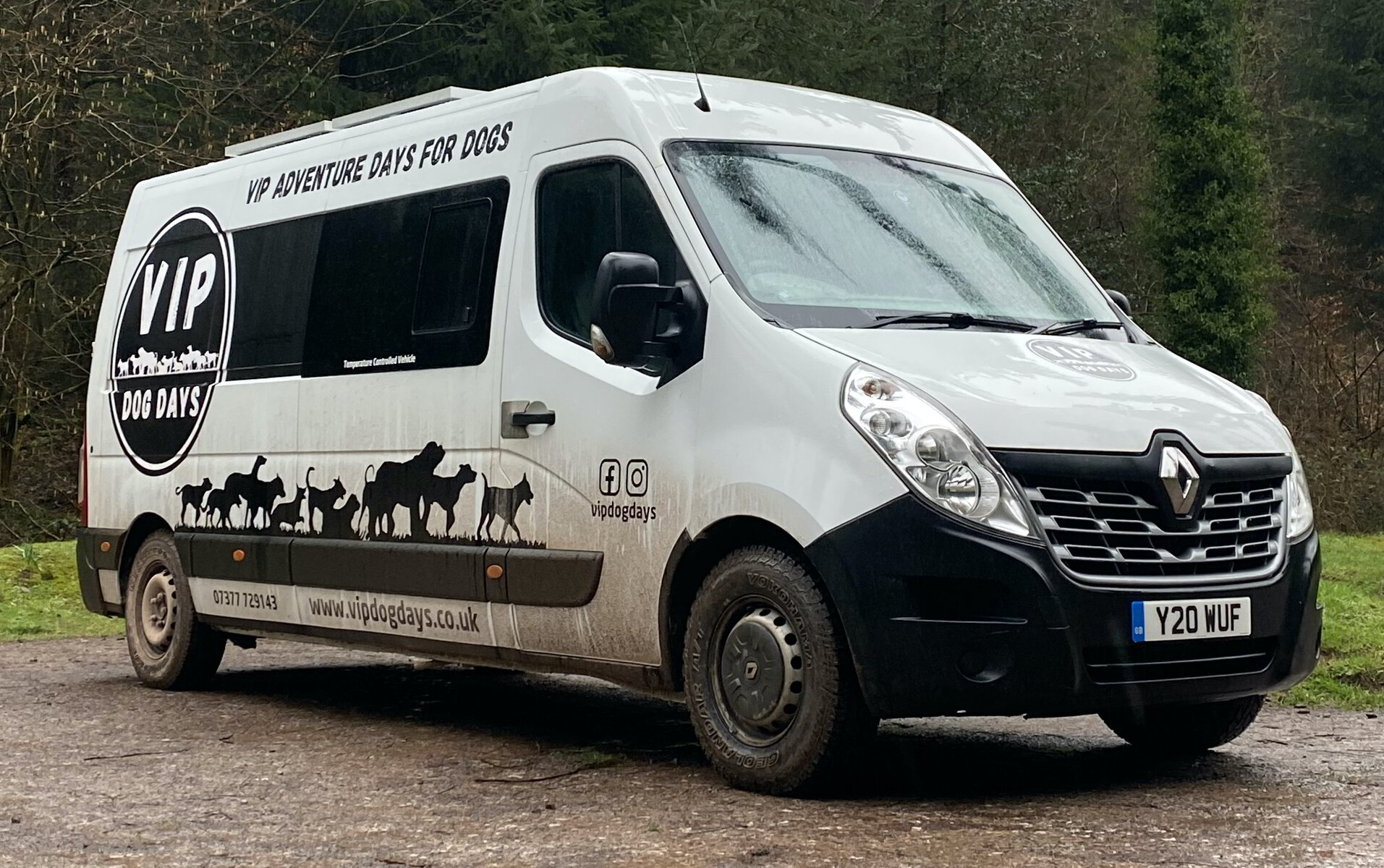 VIP Dog Days | Great Adventure Days for your Dogs - Dog Day Care