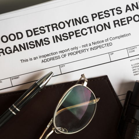 Pest Inspection | Fletcher Home Inspections, INC | Michigan, US