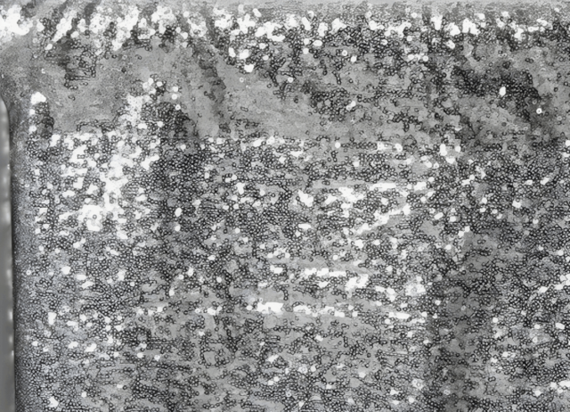 Backdrop Options in Dayton, Ohio | Vogue Photo Booths