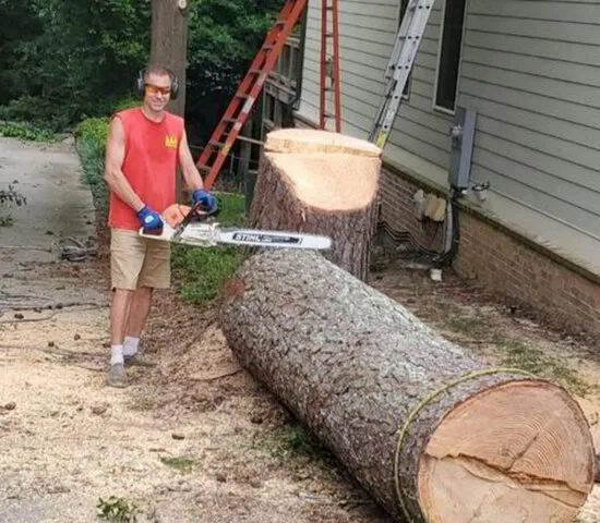 AAA Pro Tree | Arborist And Tree Surgeon in Alpharetta, GA