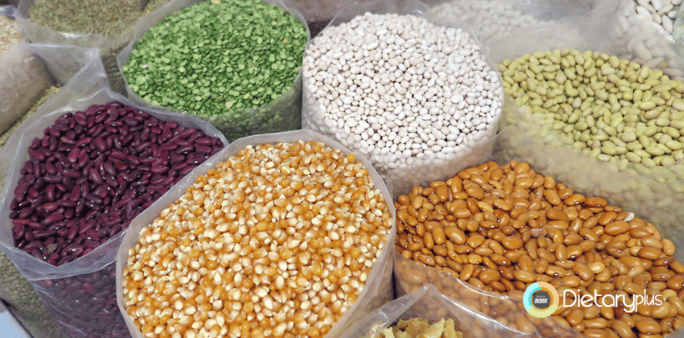 Lectinas: ¿Qué es? Todo lo que necesitas saber sobre estas proteínas ...