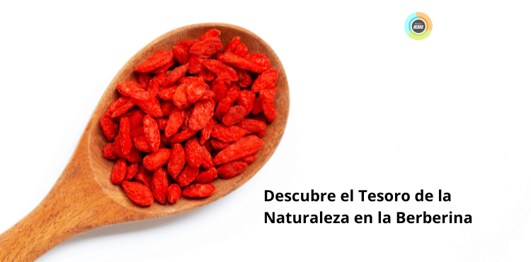 Poderosa Berberina : Su aliado para la salud y la pérdida de peso