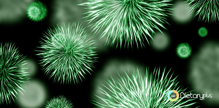 Lectinas: ¿Qué es? Todo lo que necesitas saber sobre estas proteínas ...