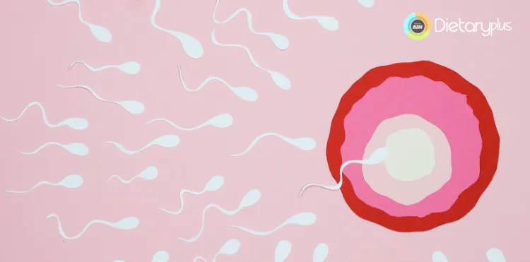 La Dieta de la Fertilidad: Descubre Cómo Potenciar tu Fertilidad de Forma Natural