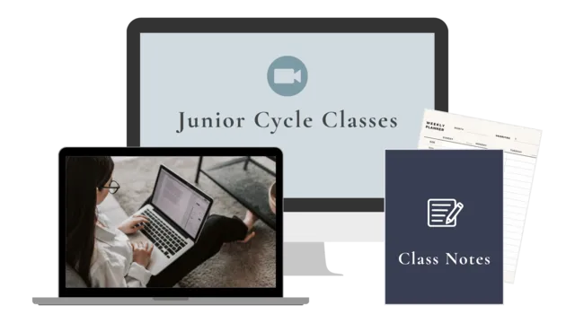 Join French Group Classes for Junior Cycle & Leaving Cert | Excel in French