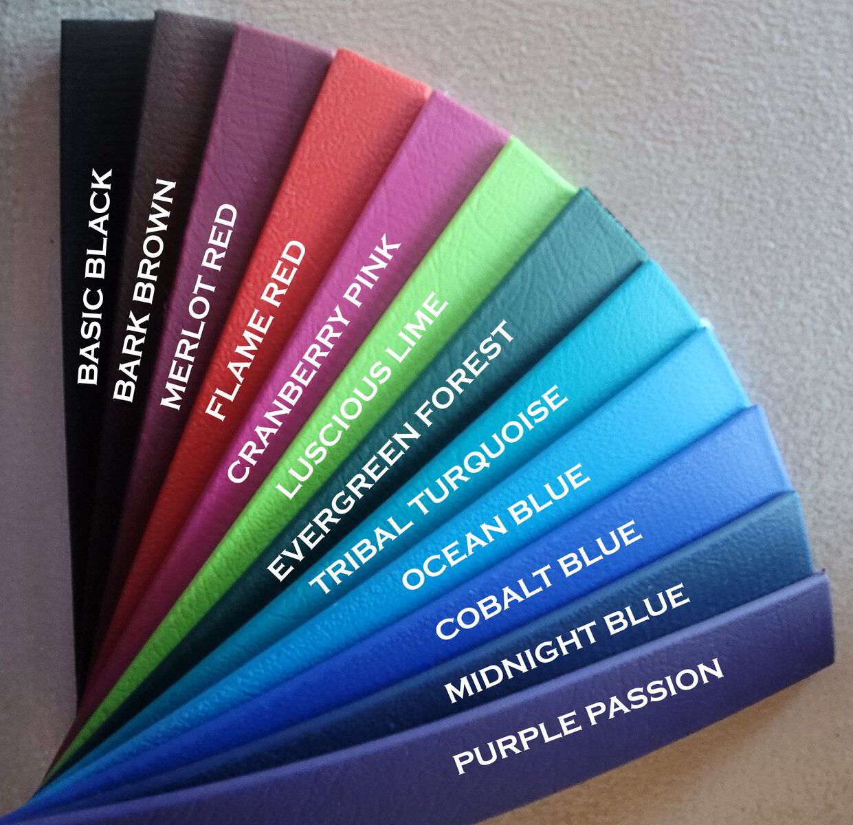 ZENDOGZ TRAFFIC LEAD