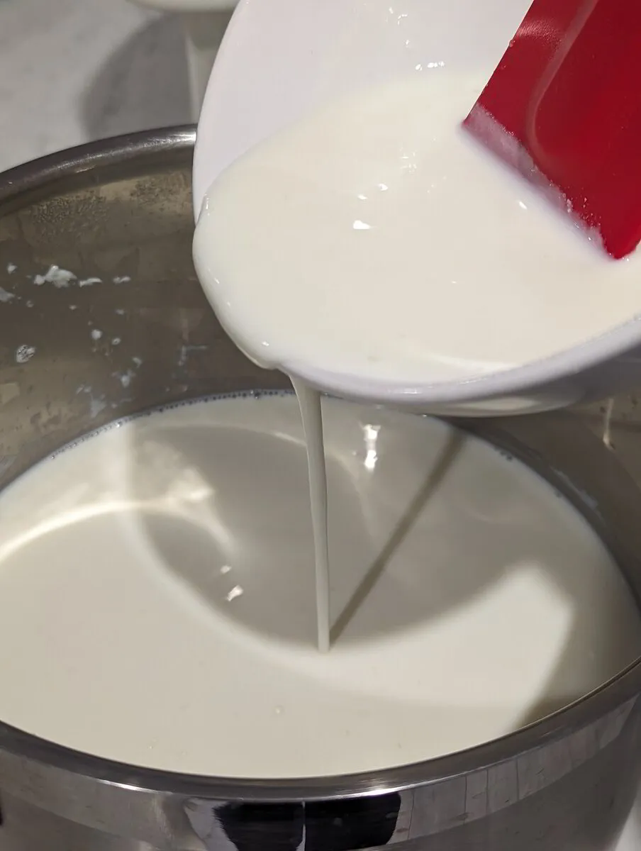 Simple Homemade Yogurt Recipe 12 Hours/Overnight