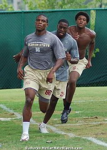 Strength Coaches