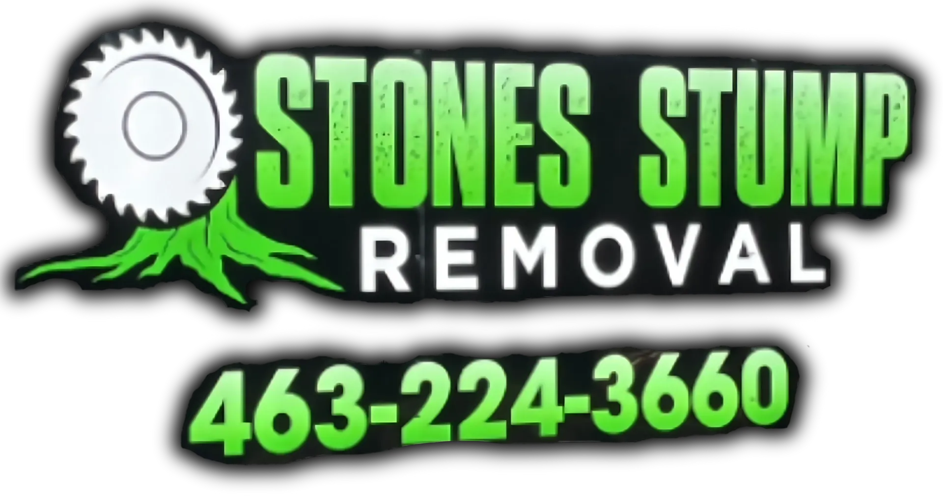 Hurricane Stump Grinder — Why Stone's Stump Removal Uses Commercial ...