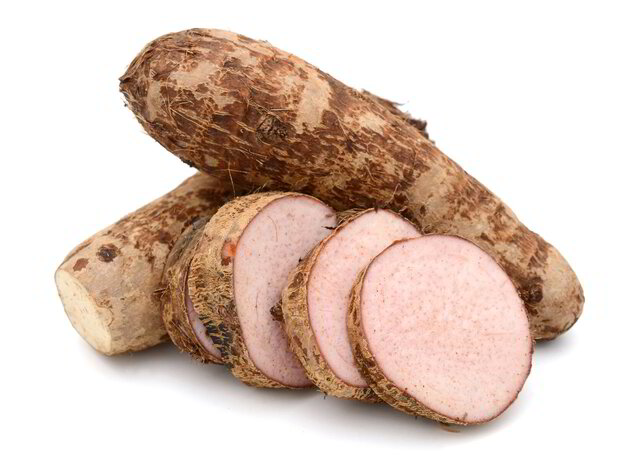 Raíces y Tubérculos el Futuro