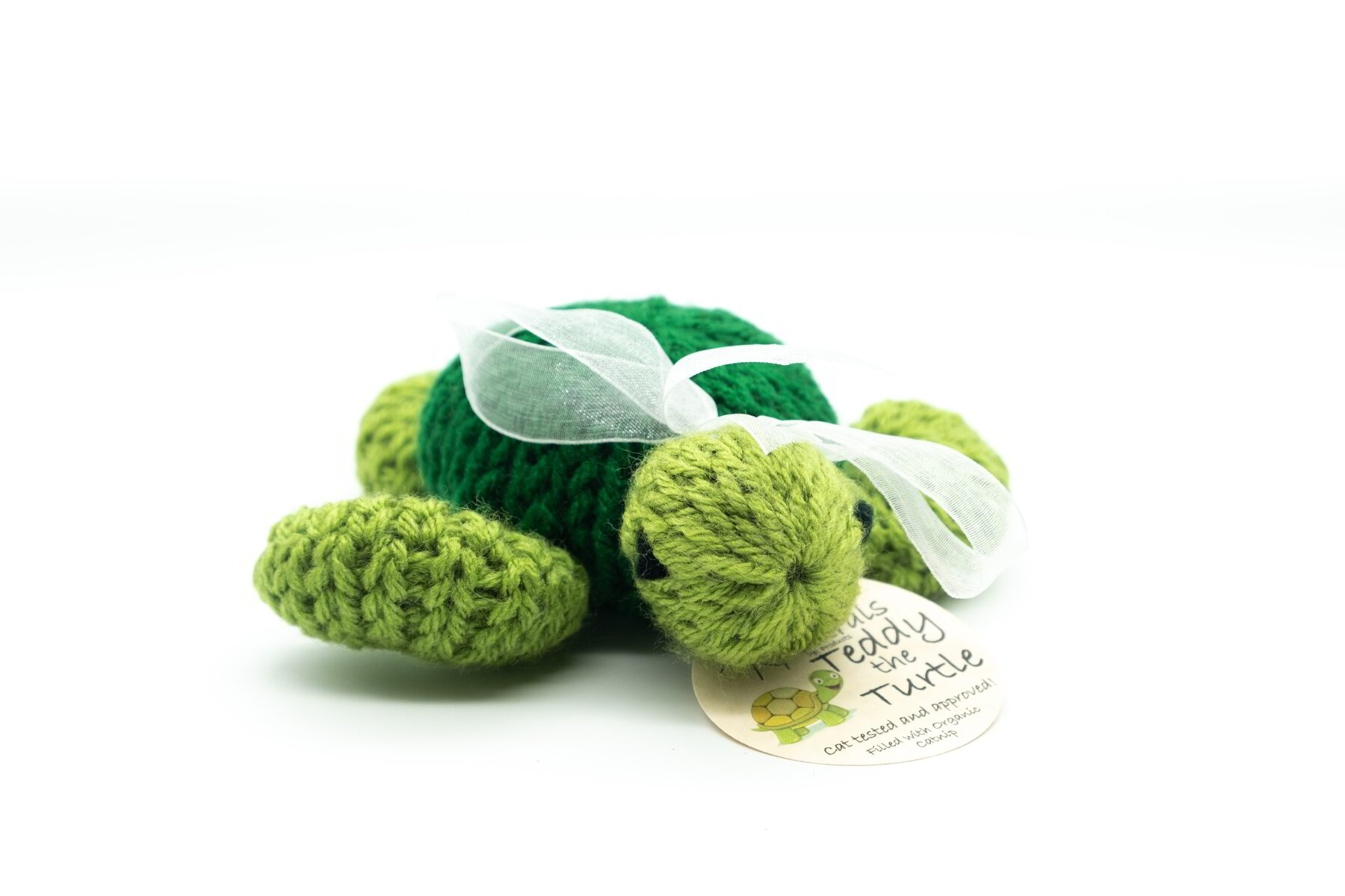 Teddy the Turtle Pet Toy