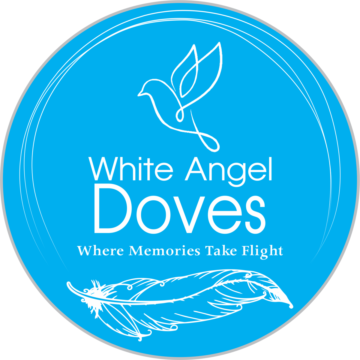 White Angel Doves Melbourne - Event Doves for All Occasions