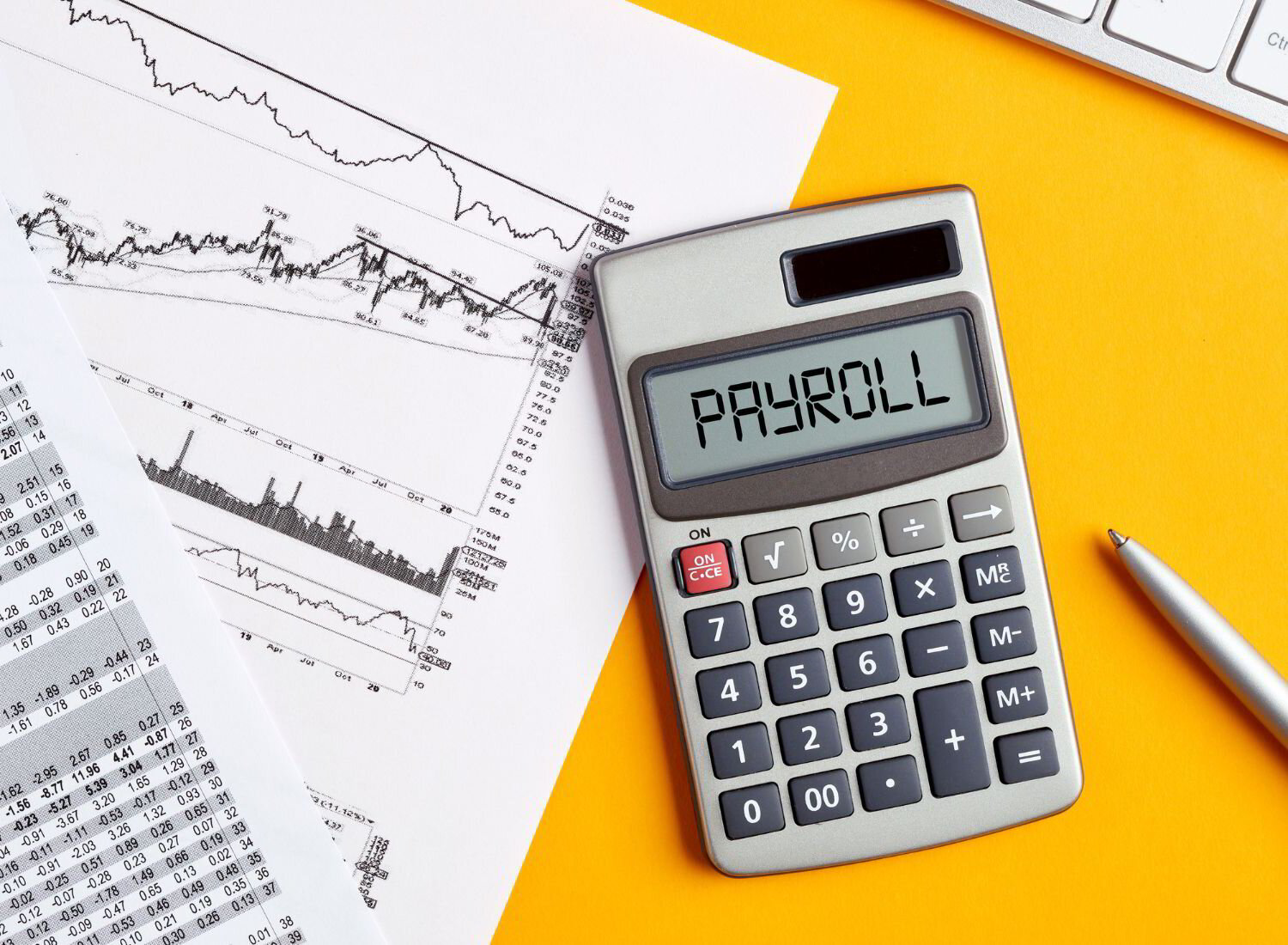 UIF and COIDA Registration & Payroll Services | Domestic Angels