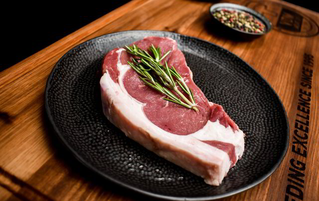 Home [vdmmeatco.co.za]