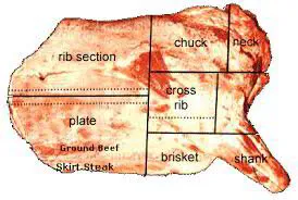 A/B-grade Beef Fore Quarter @ R99.50/kg