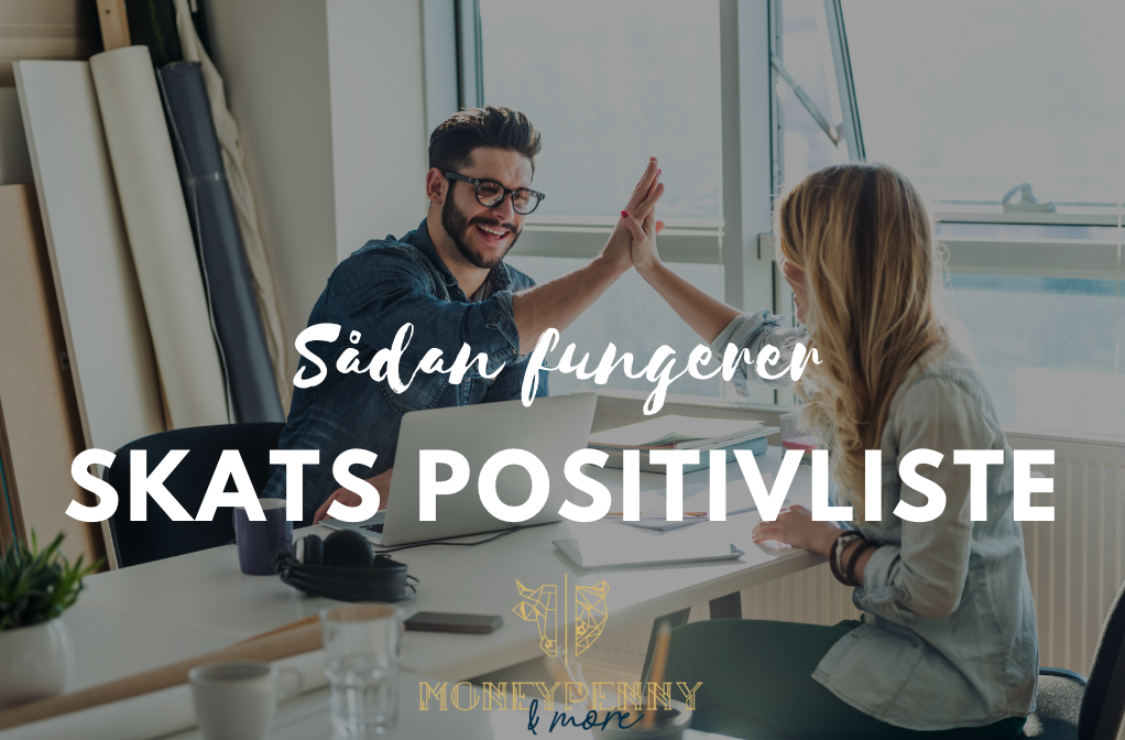 Hvad er Skats positivliste?