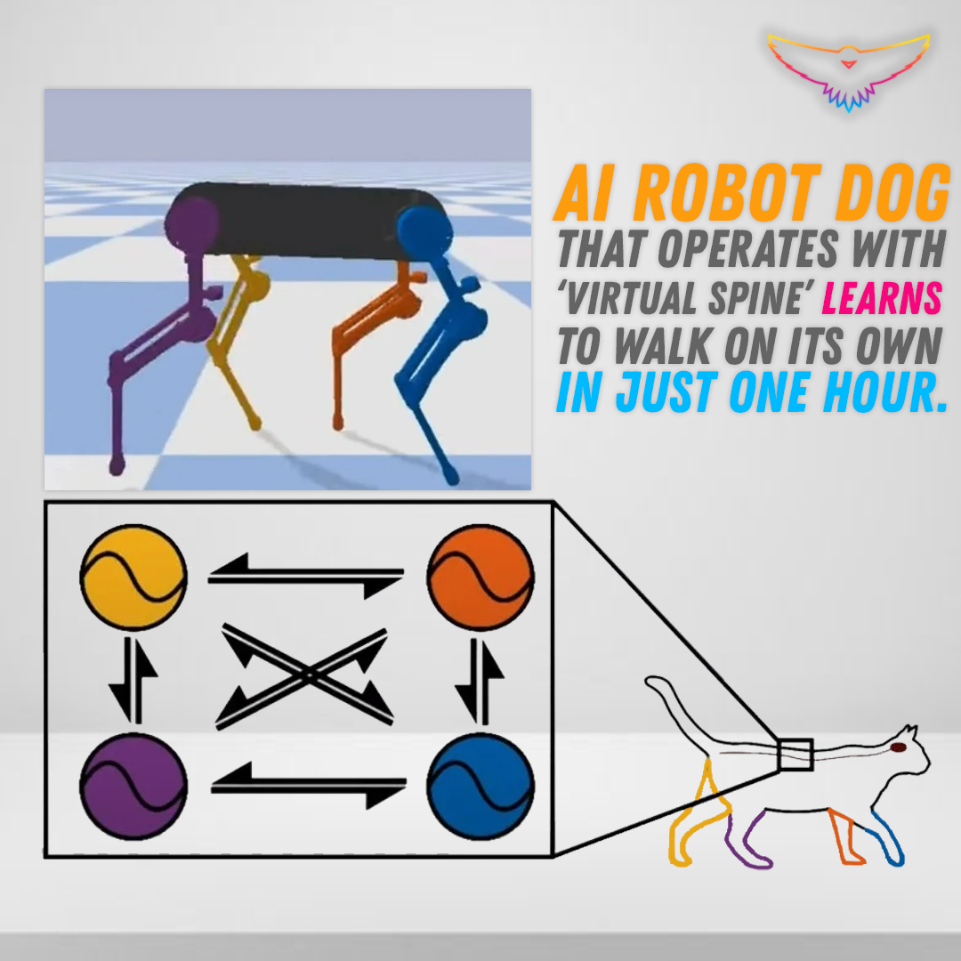 Nomadx News: A four-legged robot can learn to walk in an hour like any ...