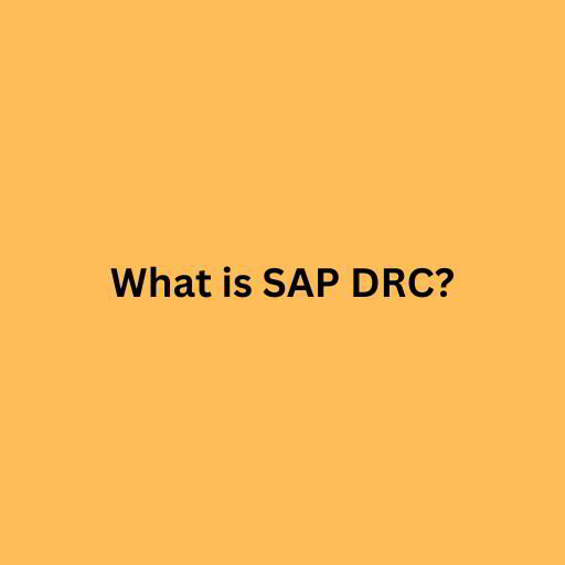 SAP DRC | The Complete Guide to SAP Document and Reporting Compliance