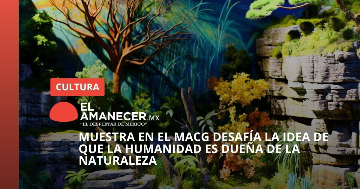El MACG reconfigura el arte moderno desde una mirada no humana