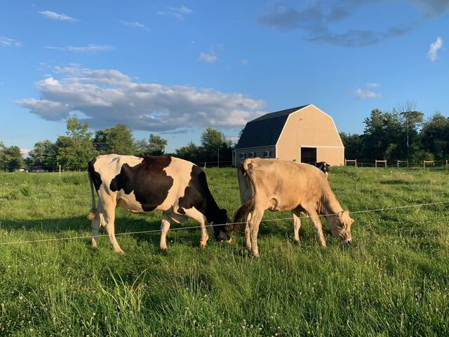 Fresh Start Farm - Bucks County, PA