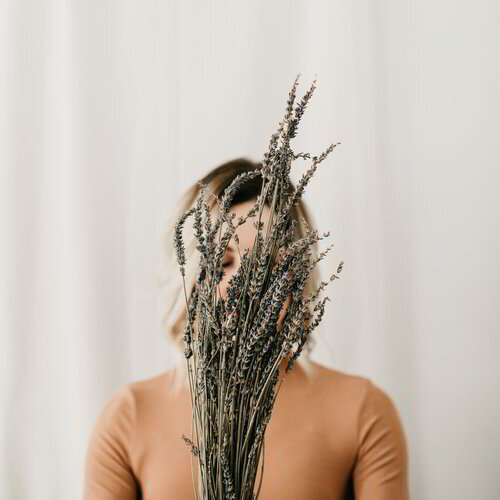 The Top 4 Causes of Baby Brain