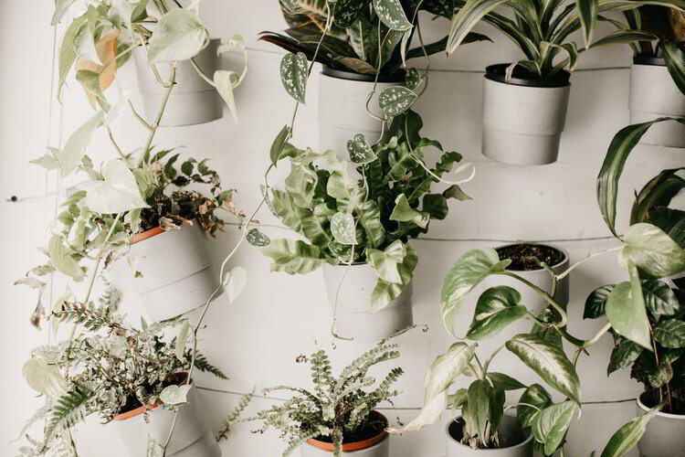 The Gut-Brain Connection: How To Feed Your Brain