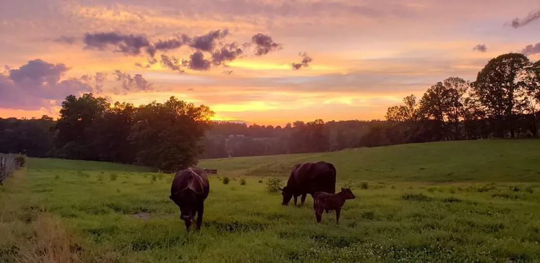 Hannah Family Farm Home