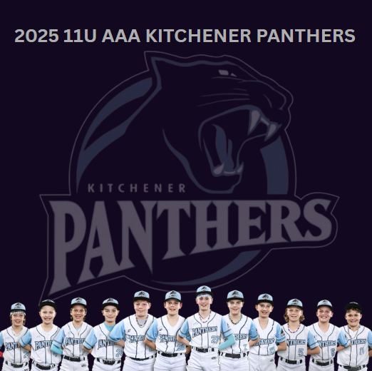 11U AAA Kitchener Panthers Fundraiser | Halo Car Wash