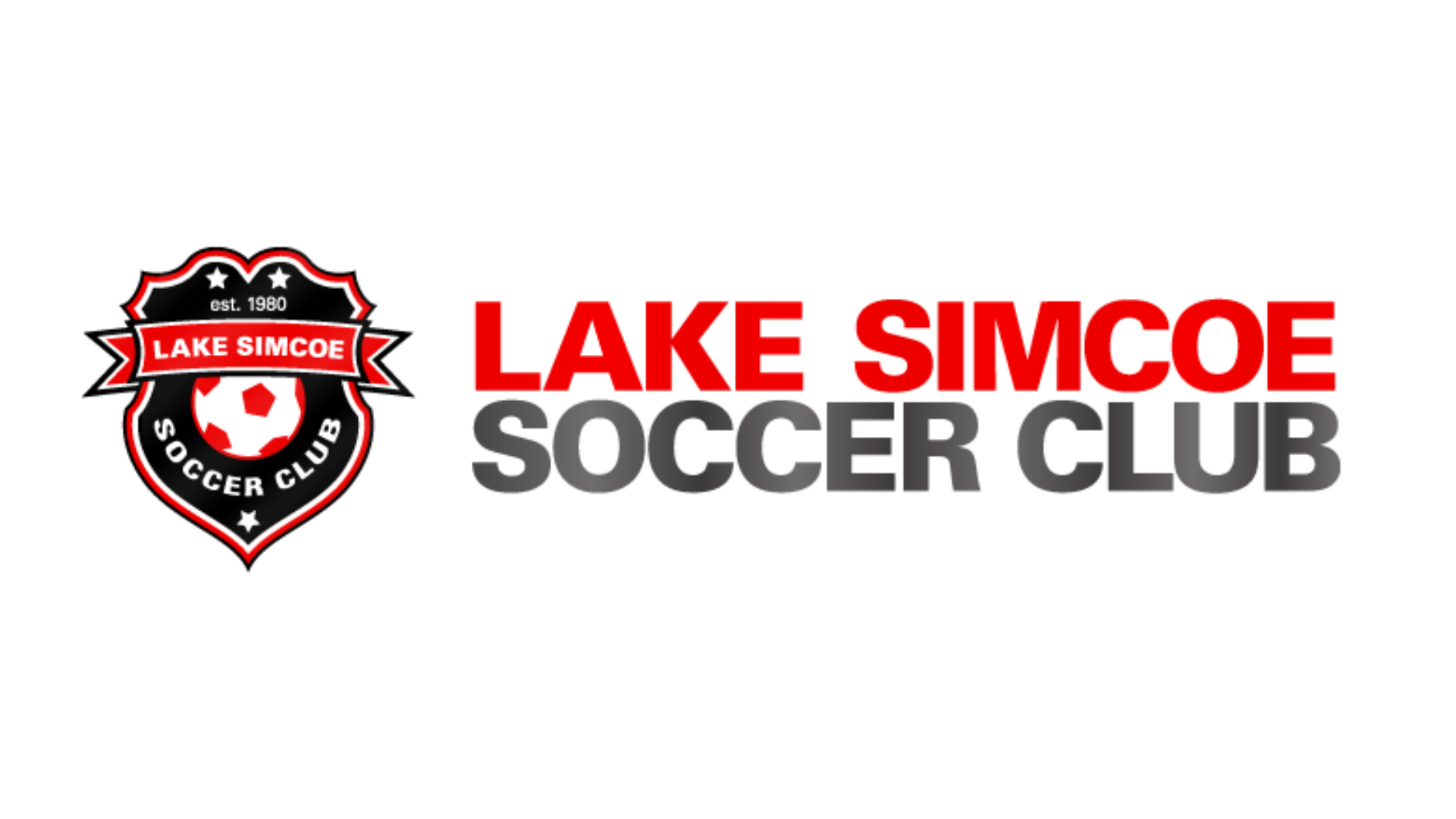 Lake Simcoe Girls Soccer Club U11 Rep Team Fundraiser | Halo Car Wash