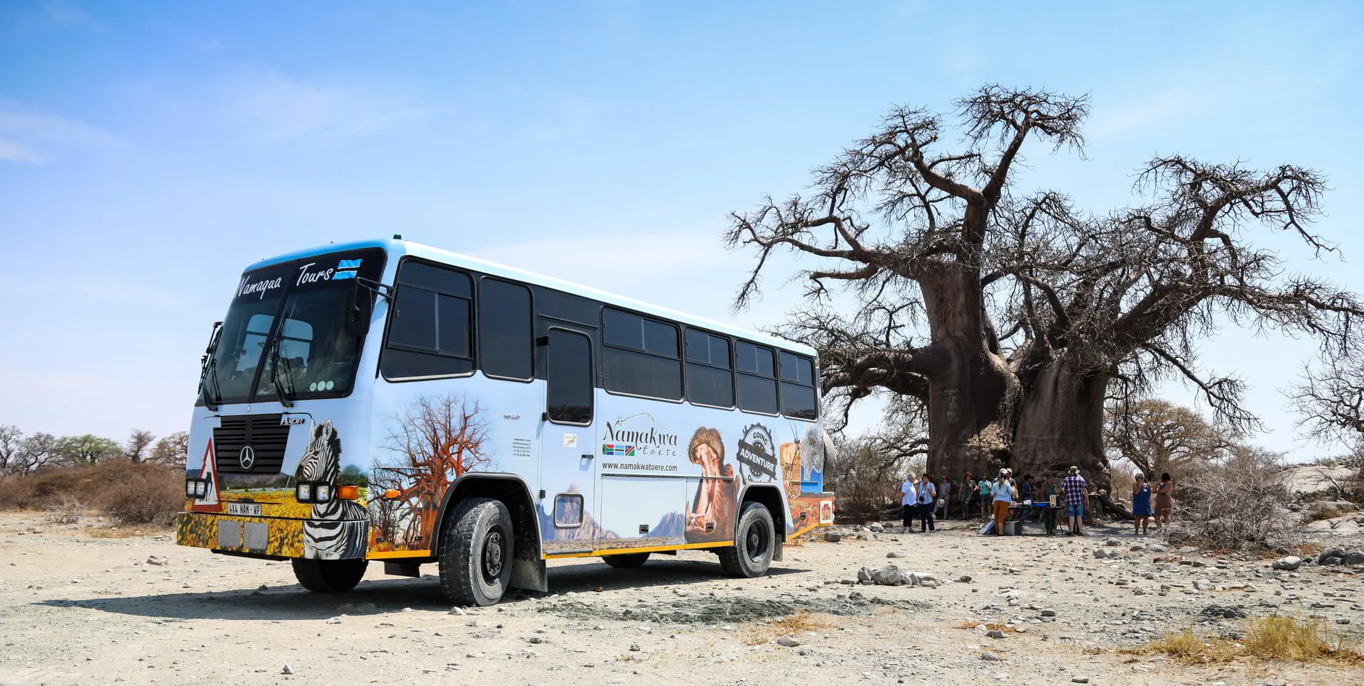 Namaqualand Flower Bus Tours | Best Flower Site