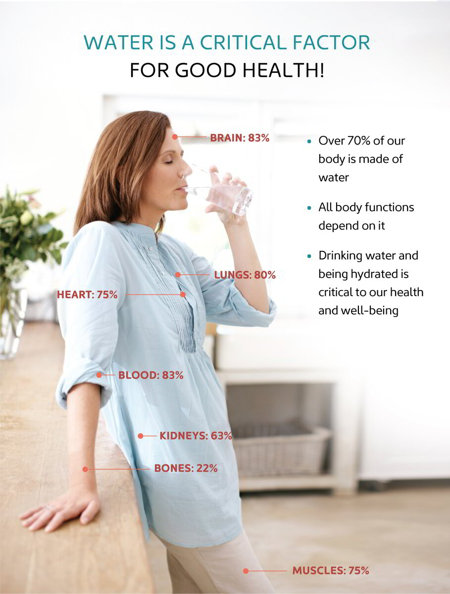 Palm Beach Water Purification