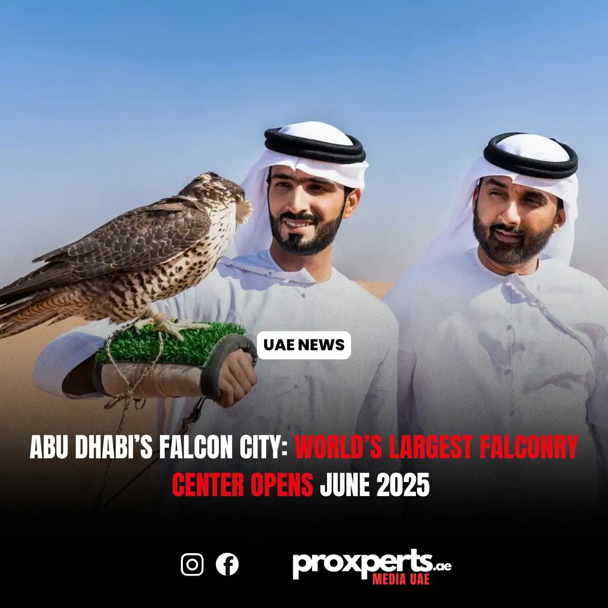 ABU DHABI’S FALCON CITY: WORLD’S LARGEST FALCONRY CENTER OPENS JUNE ...