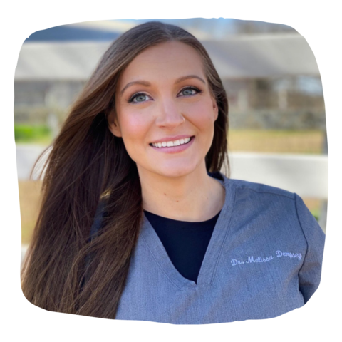 About Tyler Animal Hospital | Tyler, TX | Tyler, TX | Dr. James Michael ...