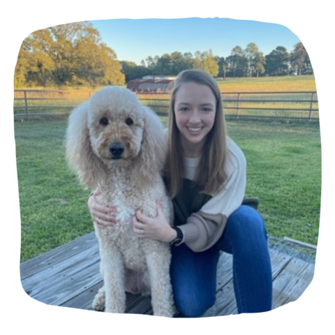 About Tyler Animal Hospital | Tyler, TX | Tyler, TX | Dr. James Michael ...