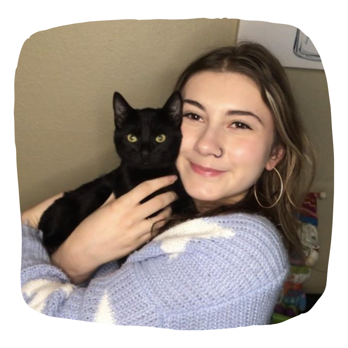 About Tyler Animal Hospital | Tyler, TX | Tyler, TX | Dr. James Michael ...