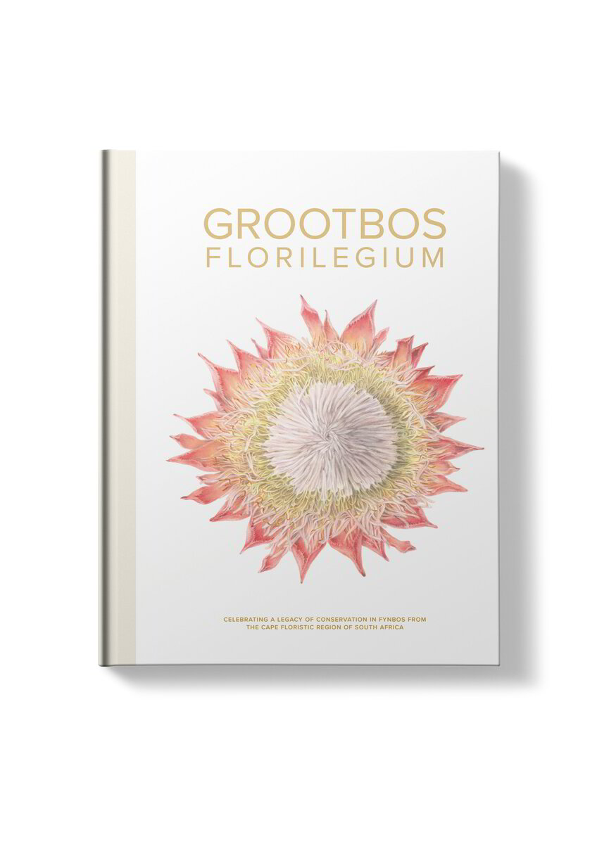 Grootbos Florilegium: A first for botanical art