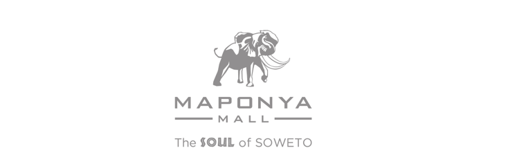 Maponya Mall Community Hub launch will drive skills development for ...