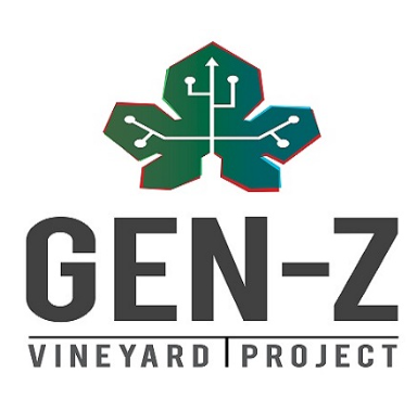 Gen-Z wingerdprojek dryf innovasie
