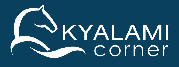 KYALAMI CORNER DONATES BOOKS AND STATIONERY TO LOCAL NPOs