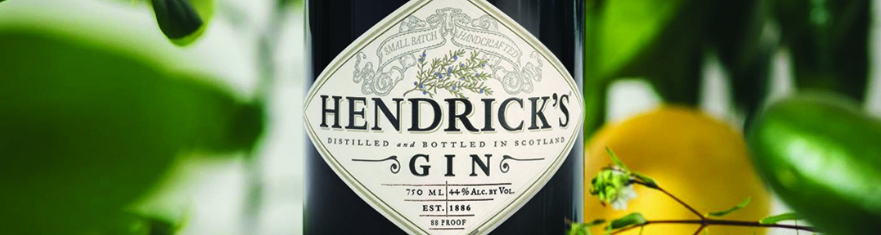 GINBLEDON HAS ARRIVED!