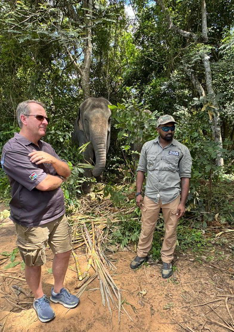 UP vets lead Cambodia’s first elephant tusk removal procedure