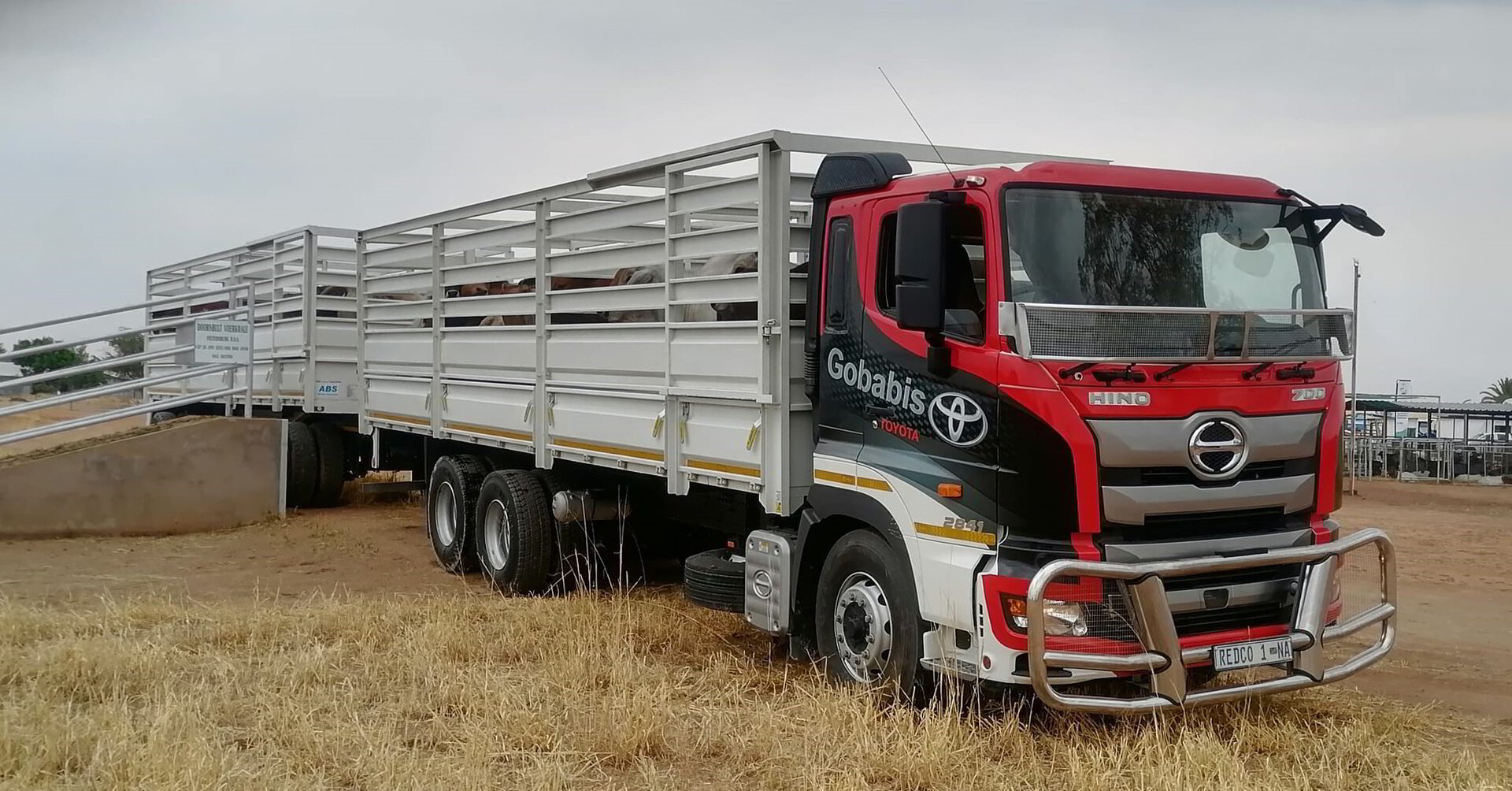 HINO 700 RIG EXCELS AS A CATTLE TRANSPORTER IN NAMIBIA