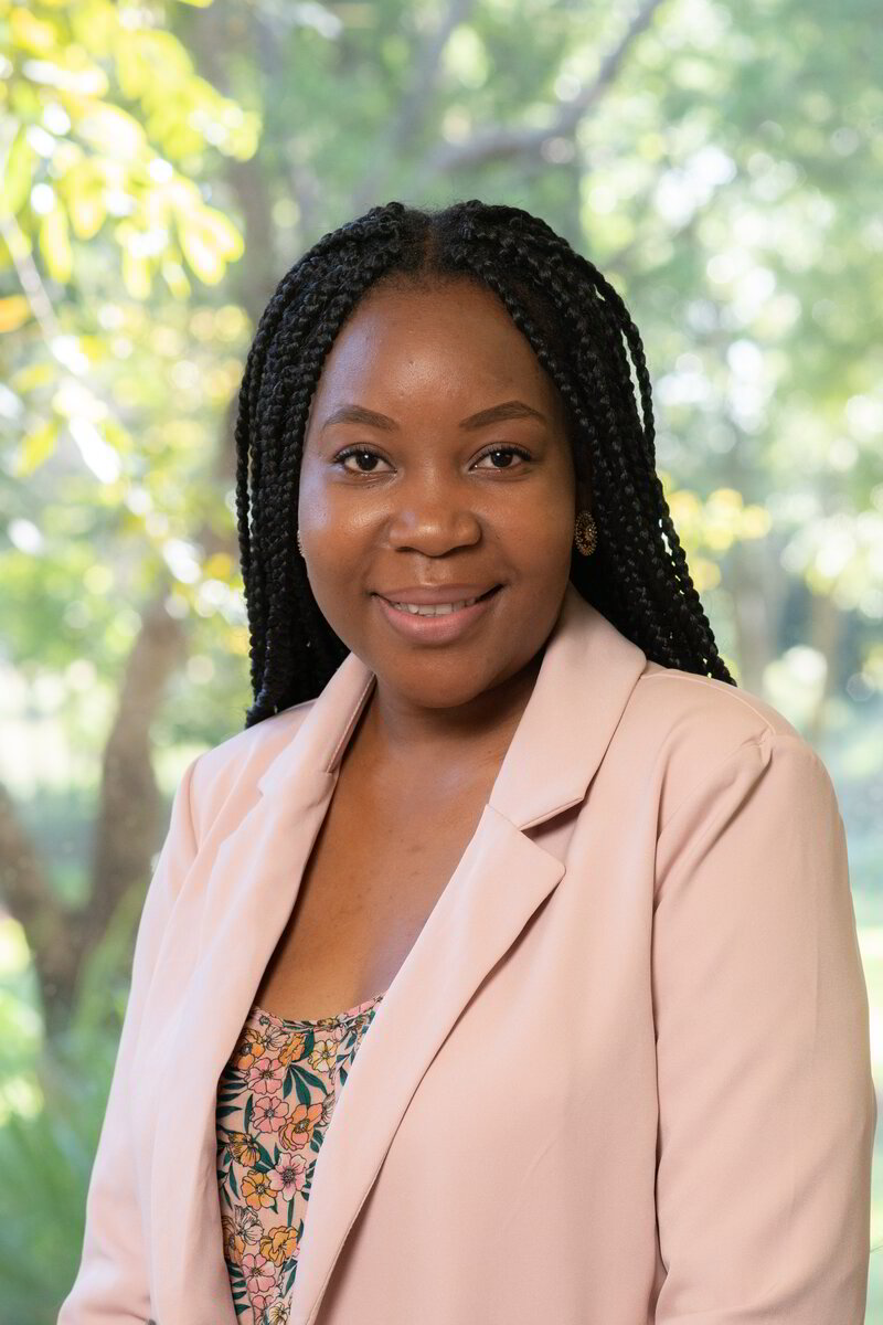 Nutrient-rich Moringa tree has potential to transform poultry farming ...