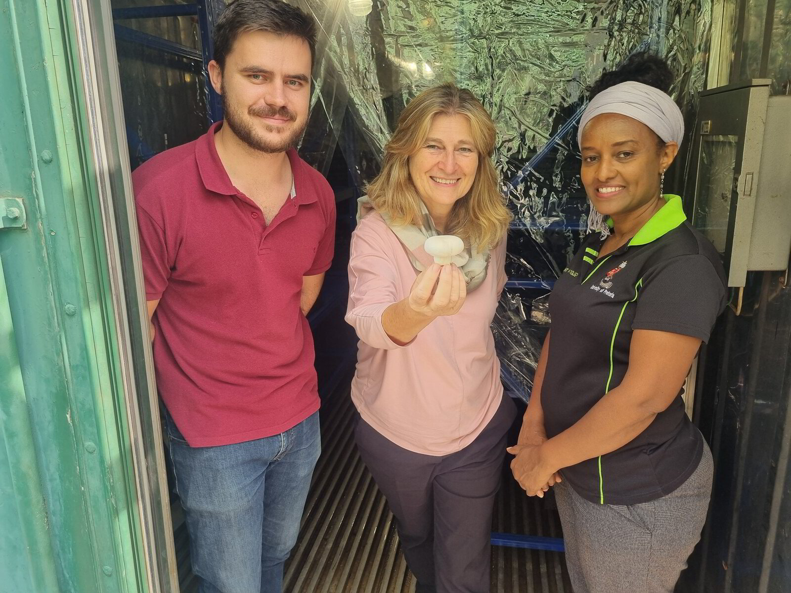 Shipping container farms - How UP is revolutionising mushroom growing in SA