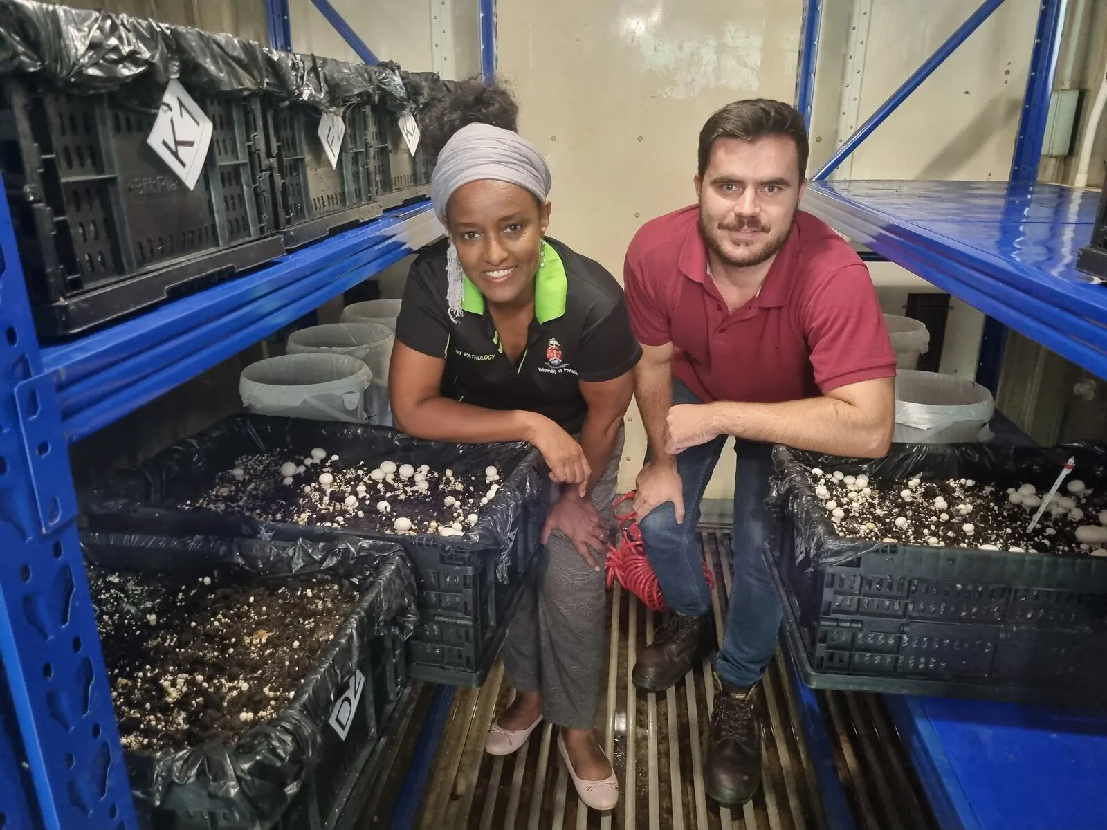 Shipping container farms - How UP is revolutionising mushroom growing in SA